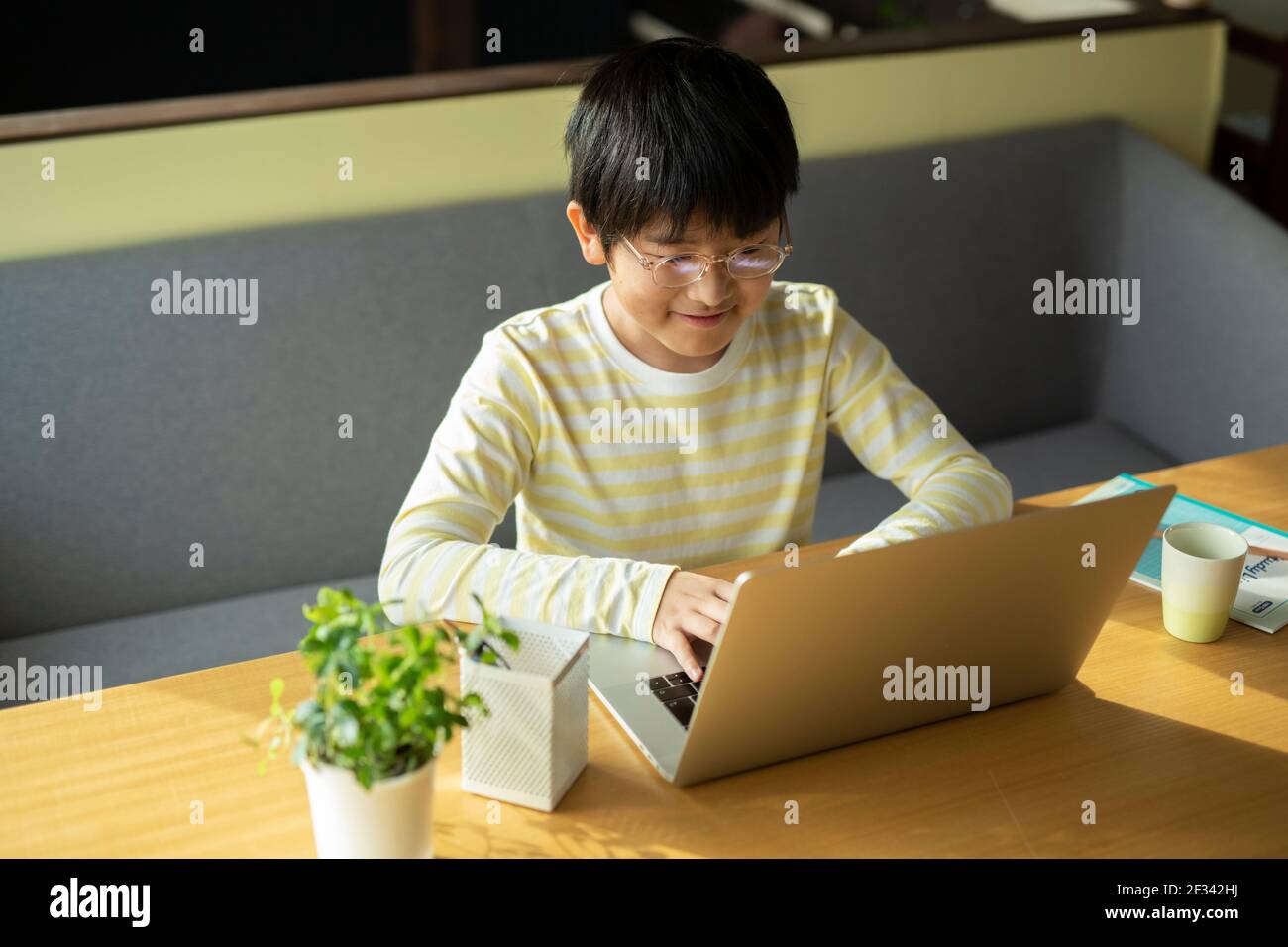 Boy Learning with PC Stock Photo - Alamy