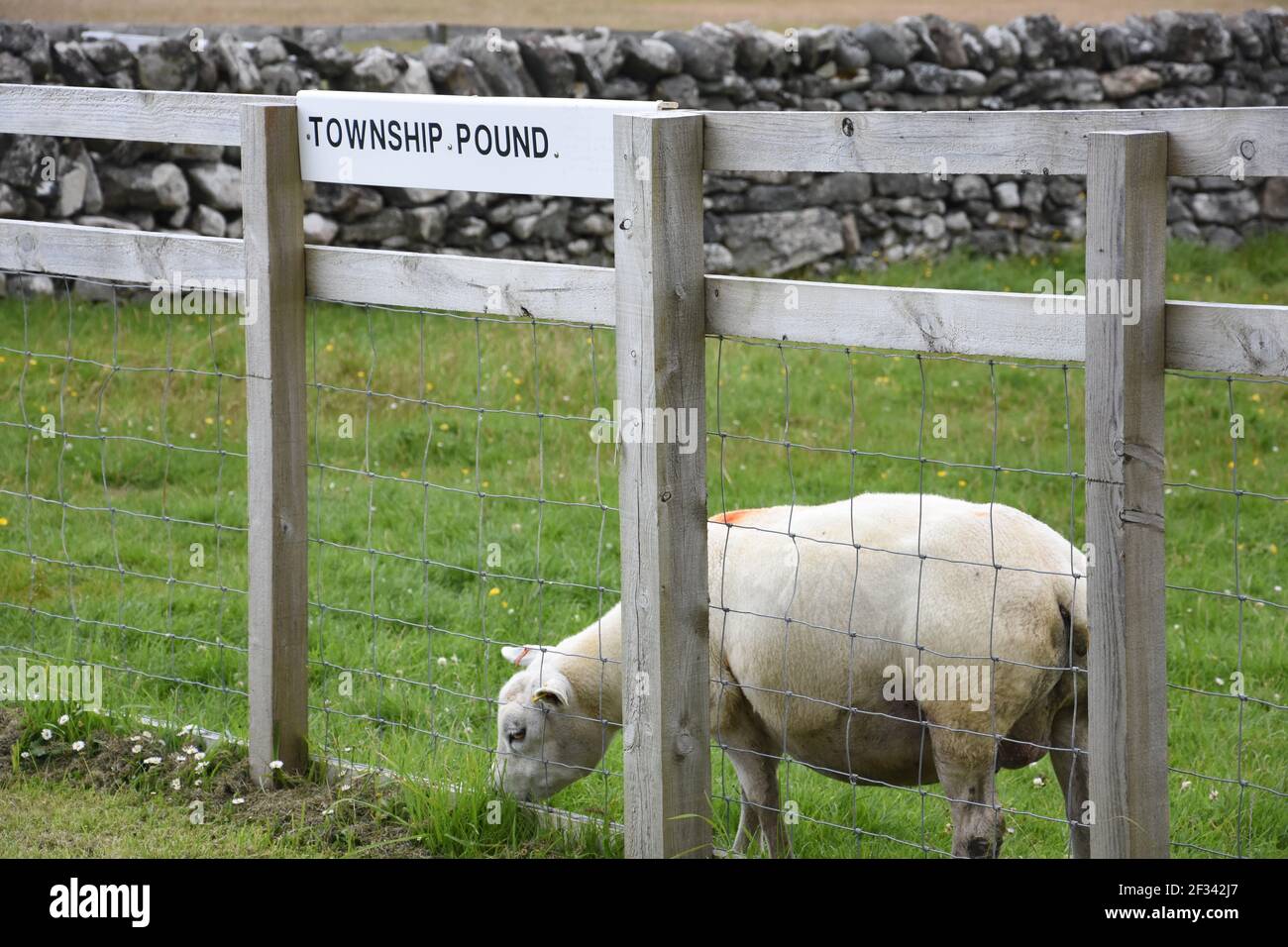 Township pound, Borve, Isle of Lewis, Western Isles, Scotland, UK Stock ...