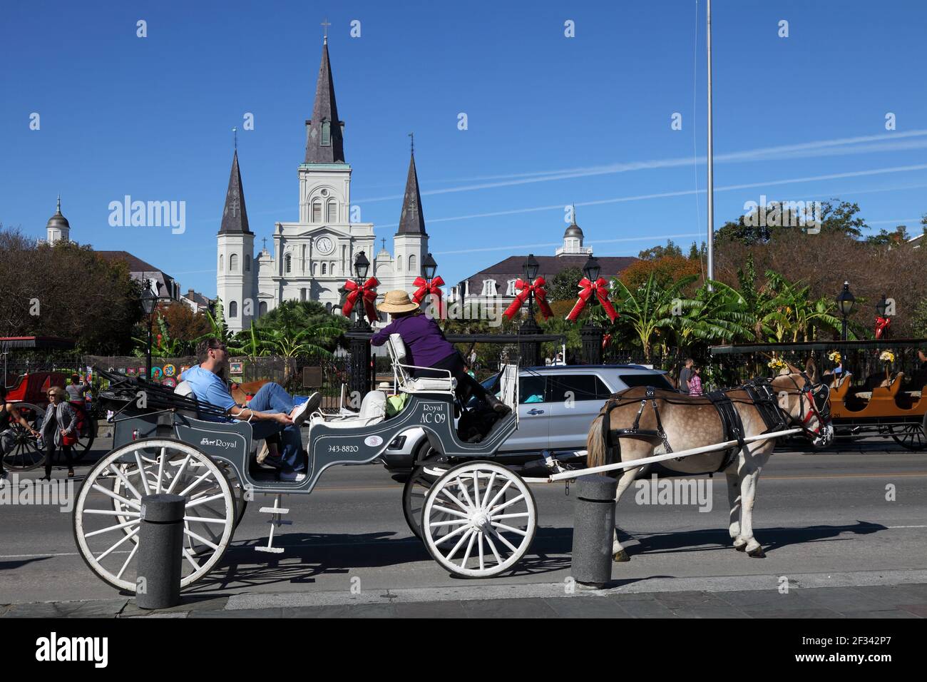 St louis cathedral and horse carriages hi-res stock photography and ...