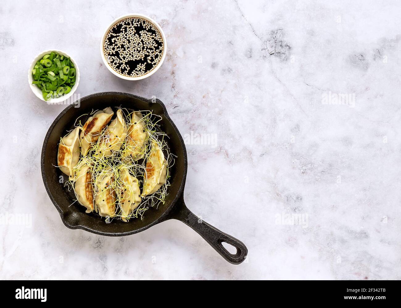 Japanese gyoza dumplings fried hi-res stock photography and images - Alamy