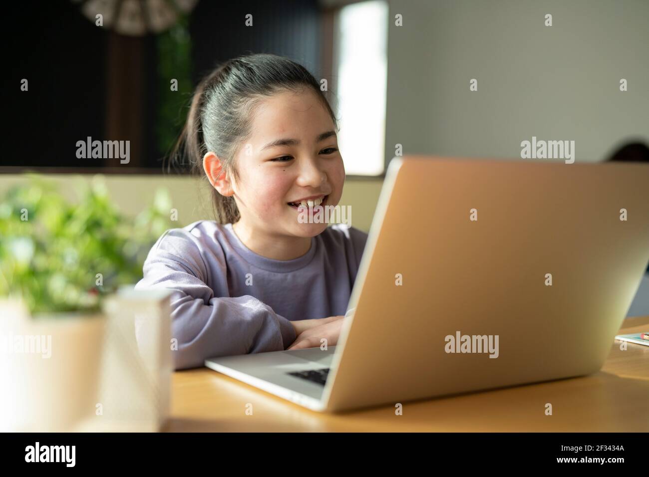 Girl Using Video Call Stock Photo - Alamy