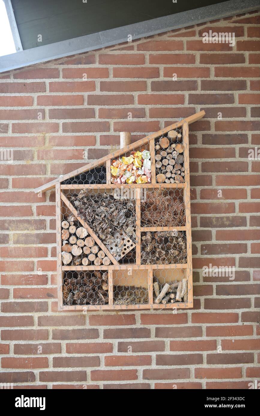 Big insect house hanging on a building Stock Photo - Alamy