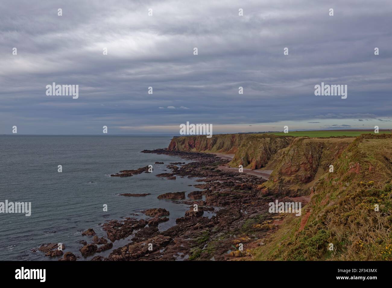 Angus coastal footpath hi-res stock photography and images - Alamy