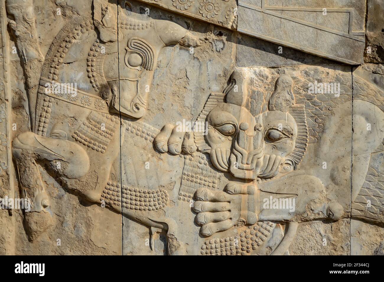 Ancient persian carving in persepolis hi-res stock photography and ...