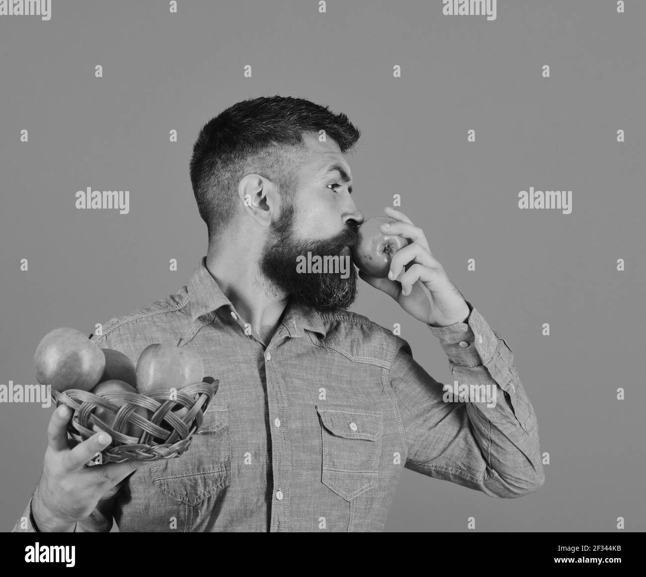 Gardening and fall crops. Farmer with busy face kisses apple Stock ...