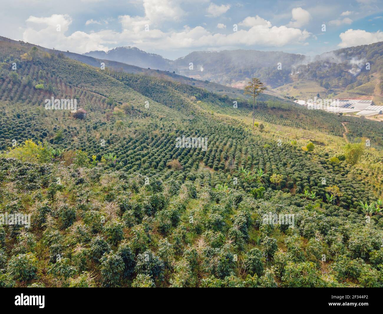 Drone view coffee hi-res stock photography and images - Alamy