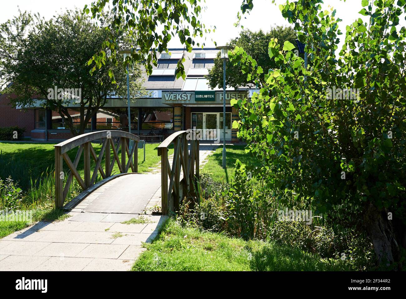 Yew trees and beech trees hi-res stock photography and images - Alamy