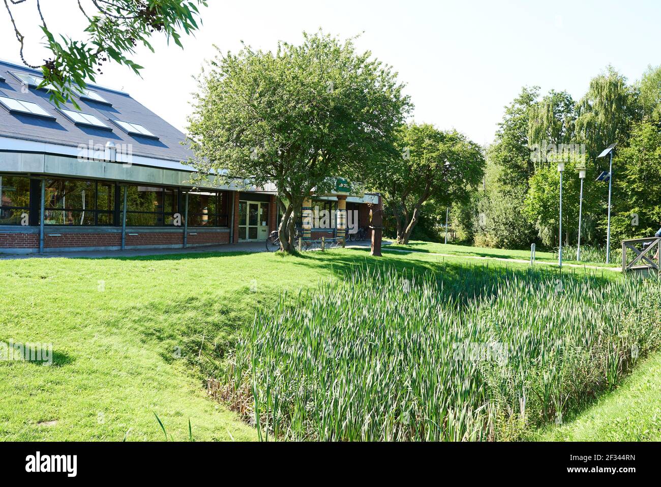 Small green area outside of a library Stock Photo - Alamy