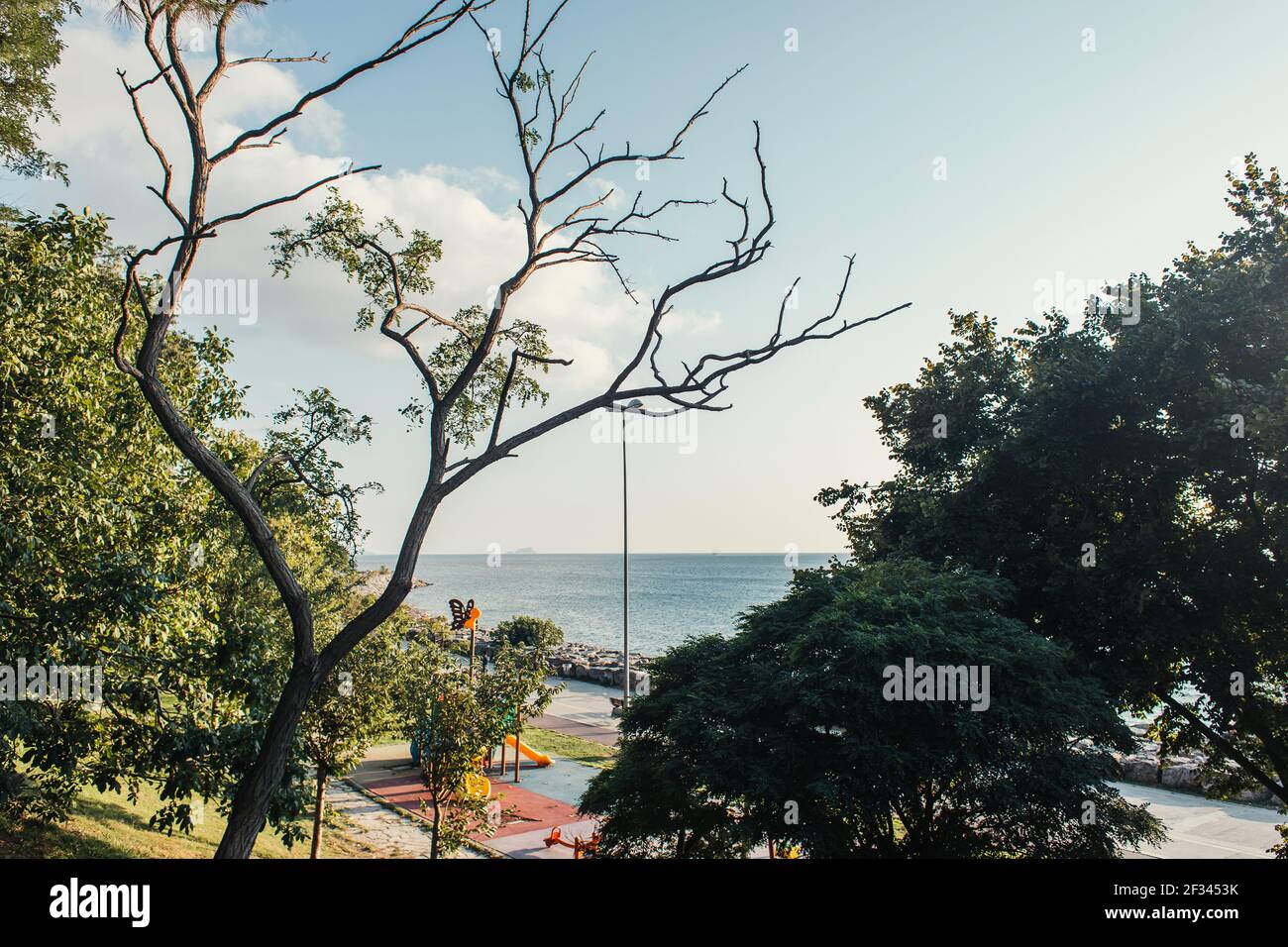Tress on seafront and sky at background in Istanbul, Turkey Stock Photo ...