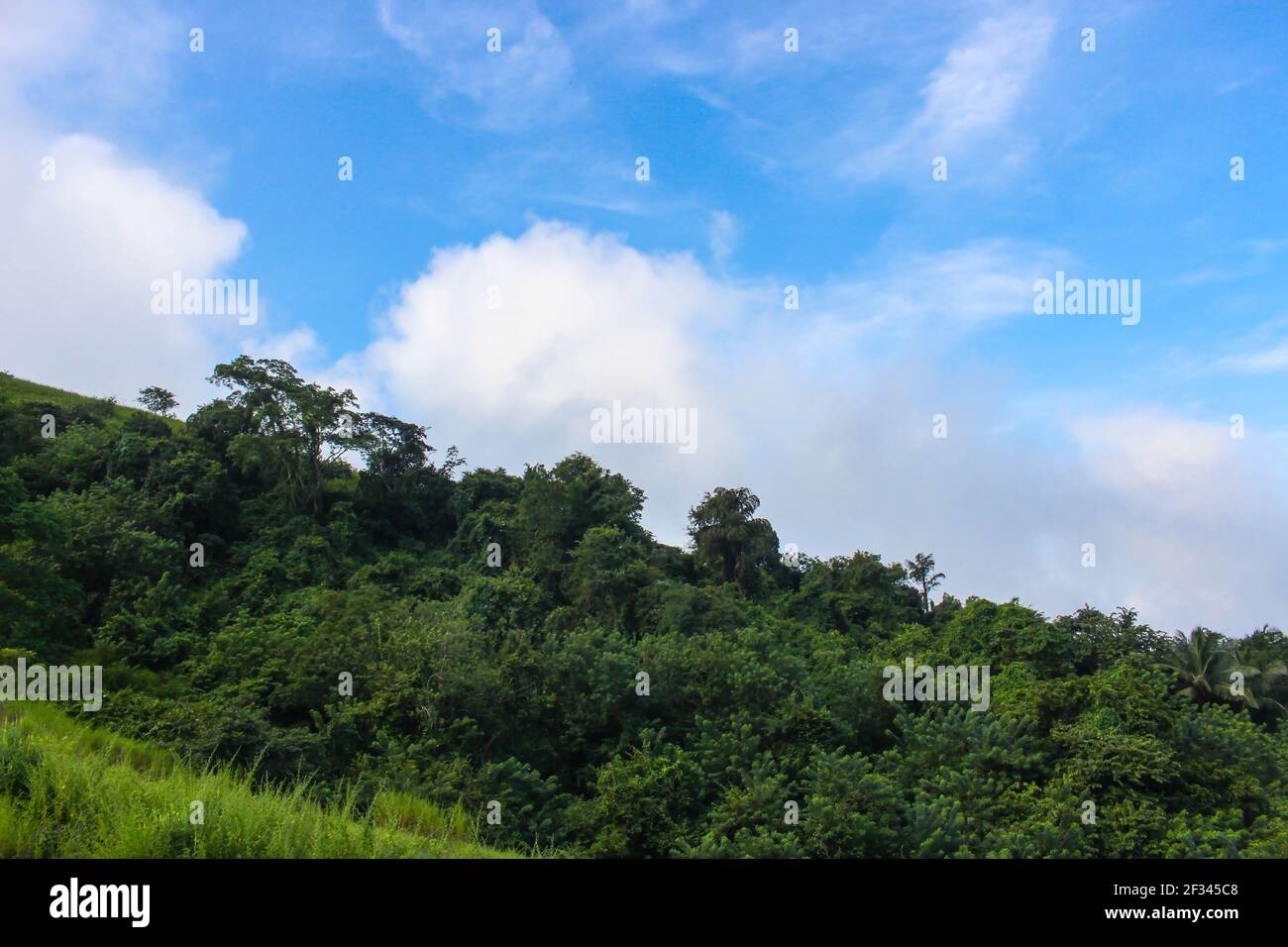 Natural mountainscape in kodikuthimala, Kerala India Stock Photo - Alamy