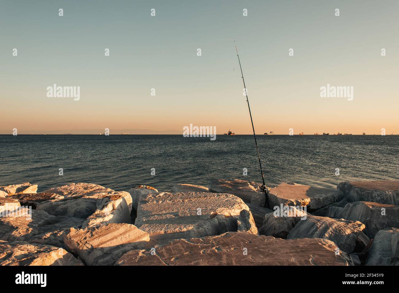 Clear water plants stones hi-res stock photography and images - Alamy