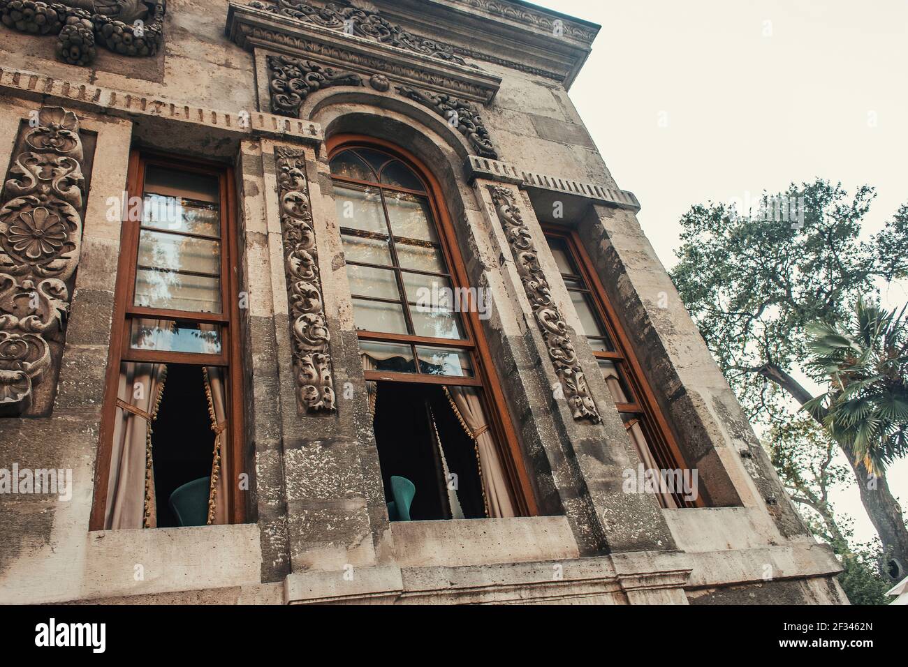 Plants decor istanbul hi-res stock photography and images - Alamy