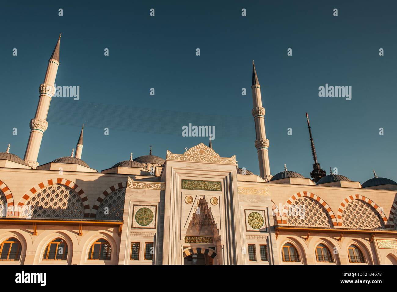 Plants decor istanbul hi-res stock photography and images - Alamy