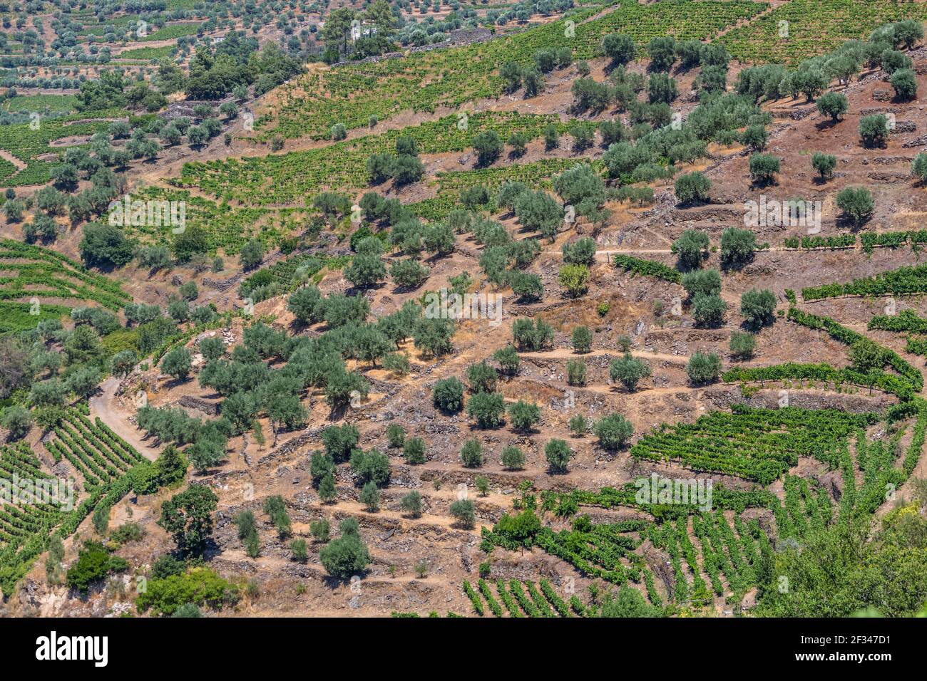 Aerial typical landscape of the highlands in the north of Portugal ...