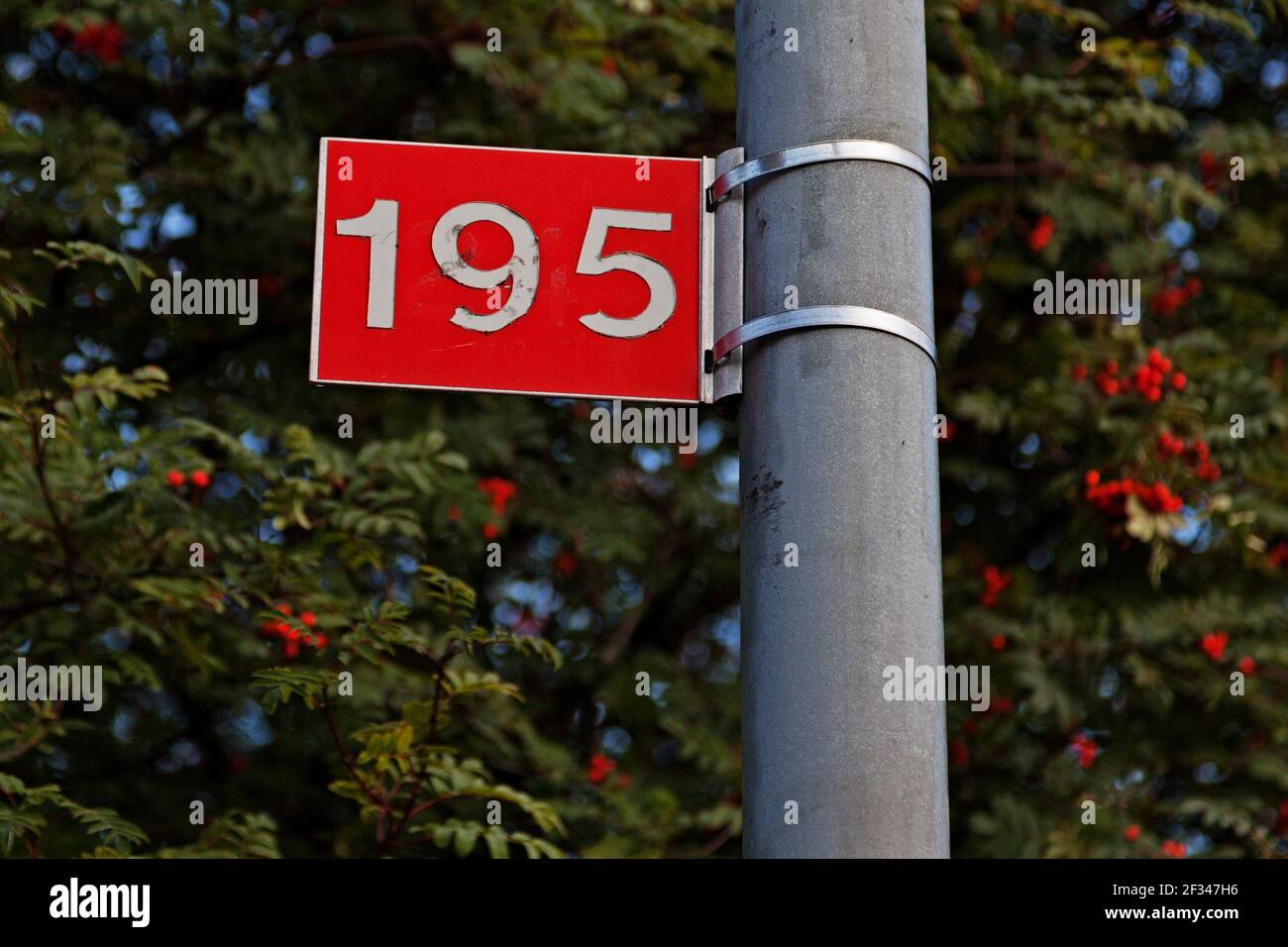 195 birthday hi-res stock photography and images - Alamy