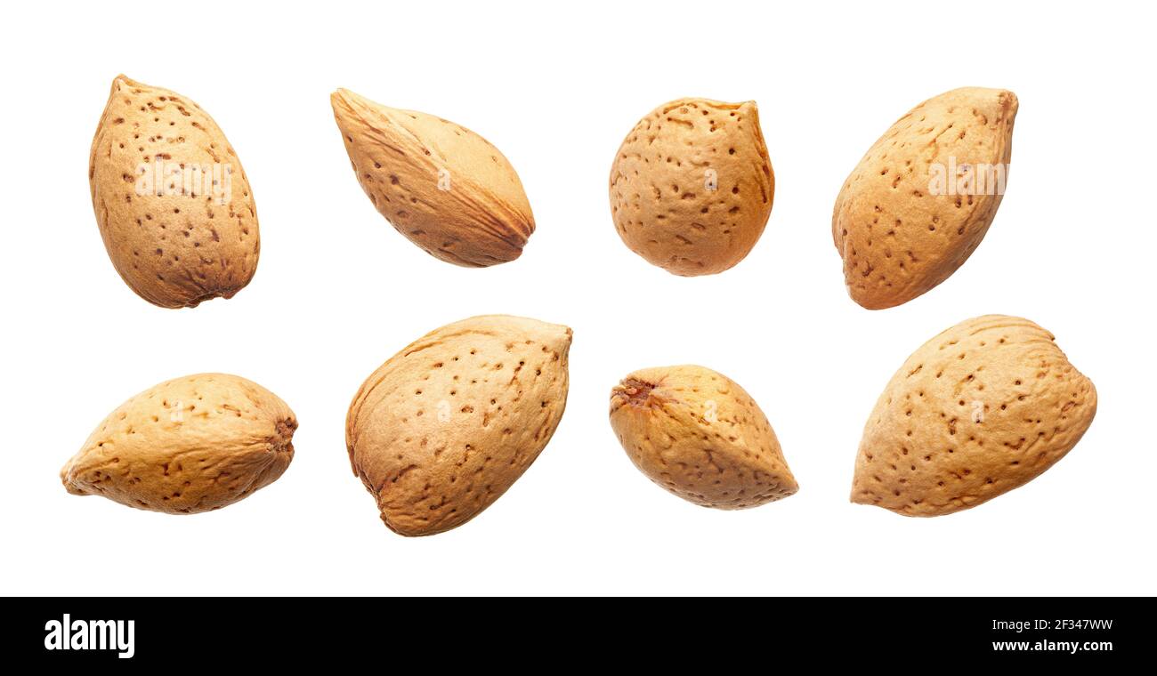 Set of almonds nut in shell isolated on white background Stock Photo ...