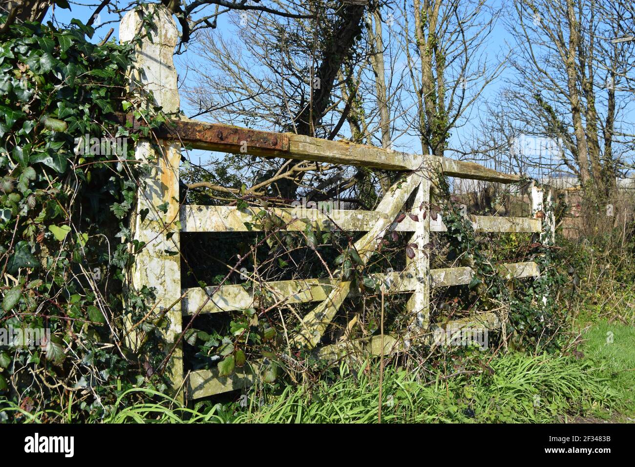 Wooden Four Bar Gate Stock Photo Alamy wooden-four-bar-gate-stock-photo-alamy