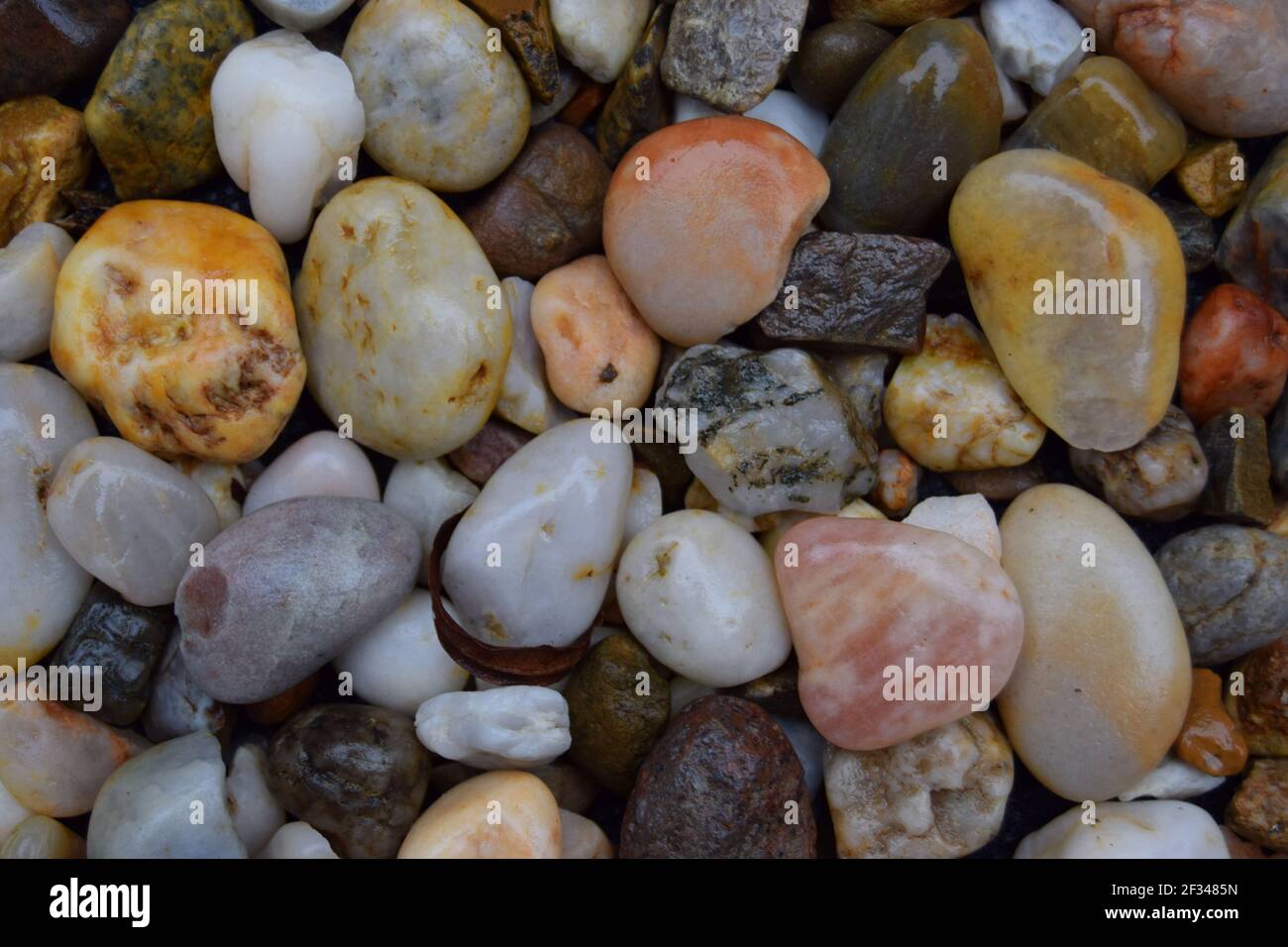 Wet Pebbles #1 Stock Photo - Alamy