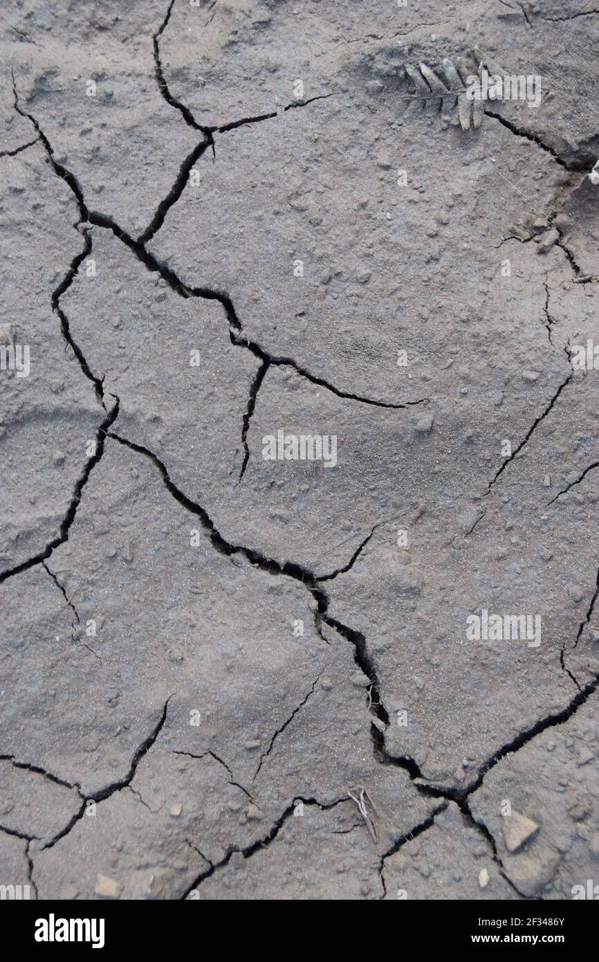 Cracks in drying puddle hi-res stock photography and images - Alamy
