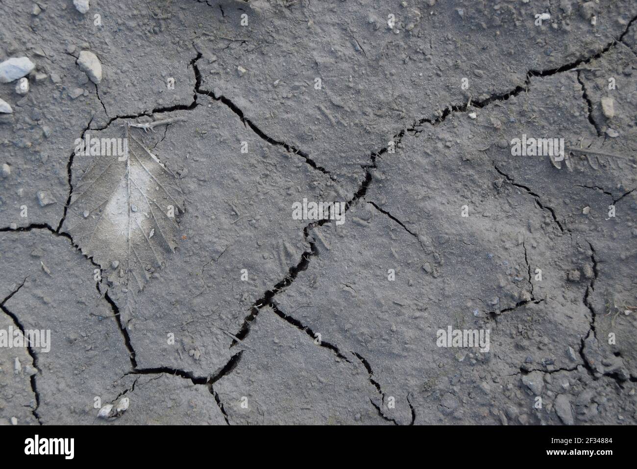 Cracked mud texture hi-res stock photography and images - Alamy