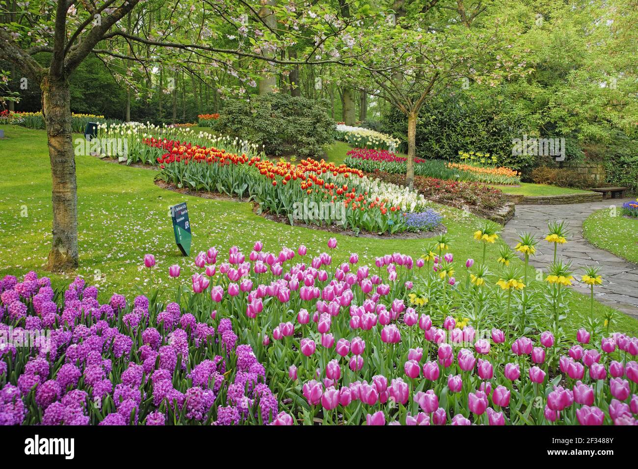 Keukenhof tulip gardens hi-res stock photography and images - Alamy
