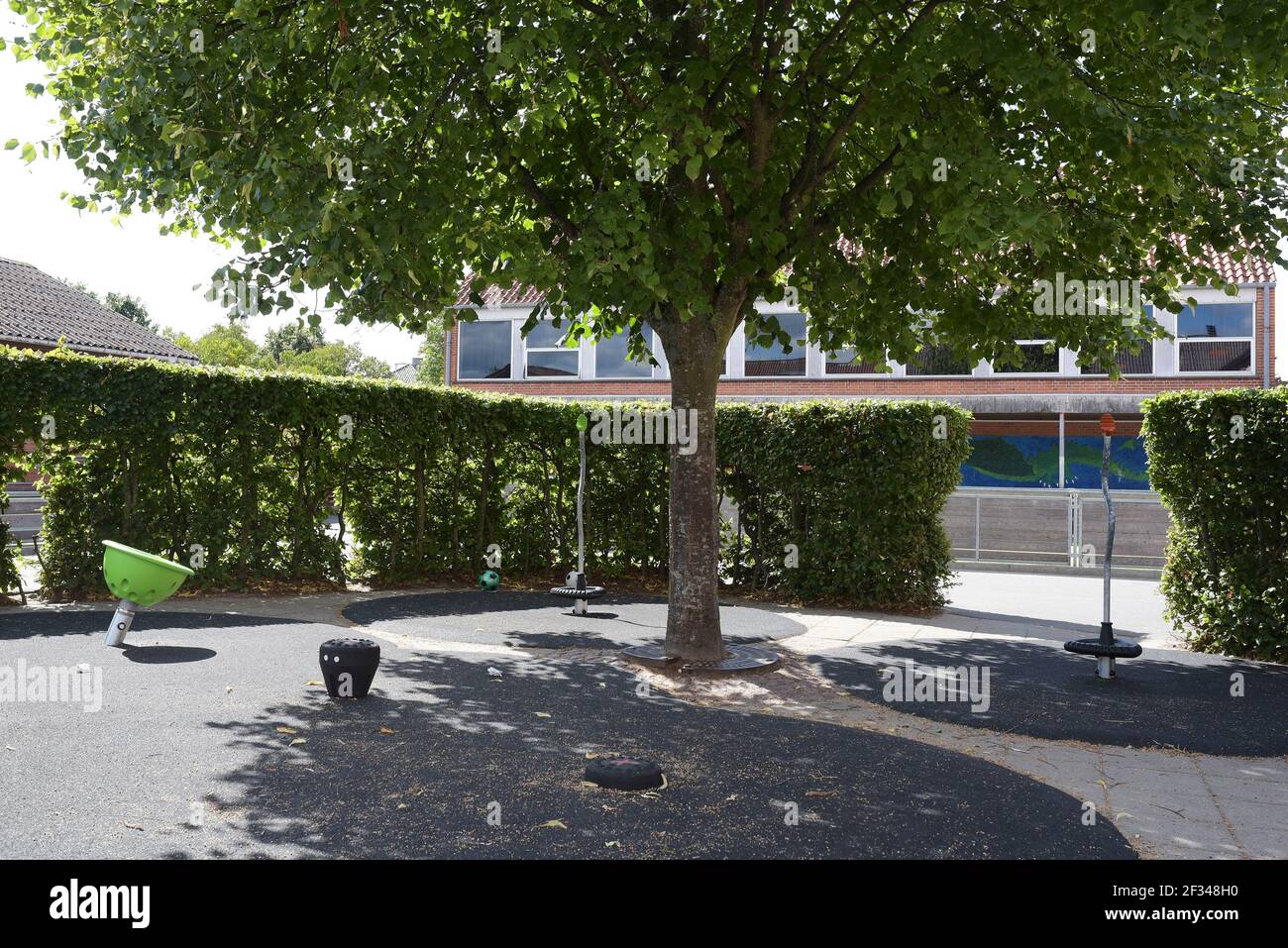 Green tree in schoolyard and school in the summer Stock Photo - Alamy