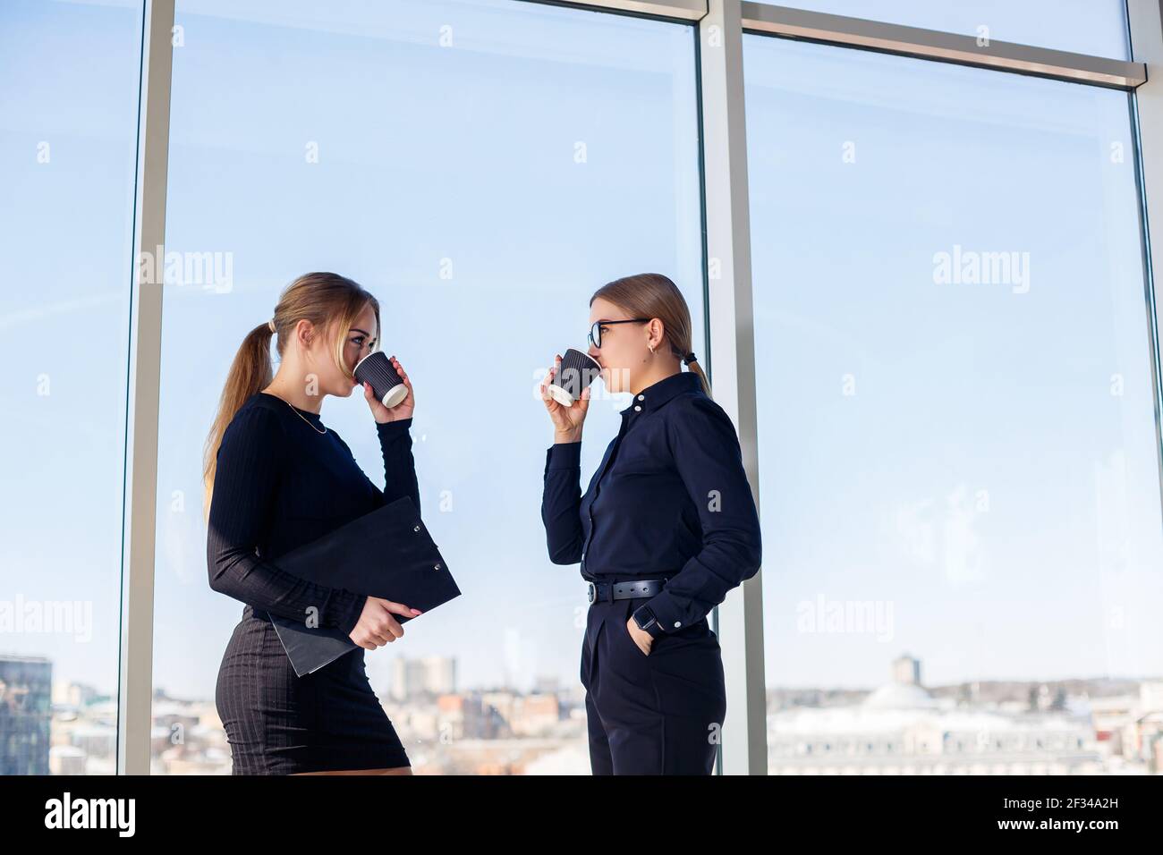 Two successful female managers talking about a joint project while ...