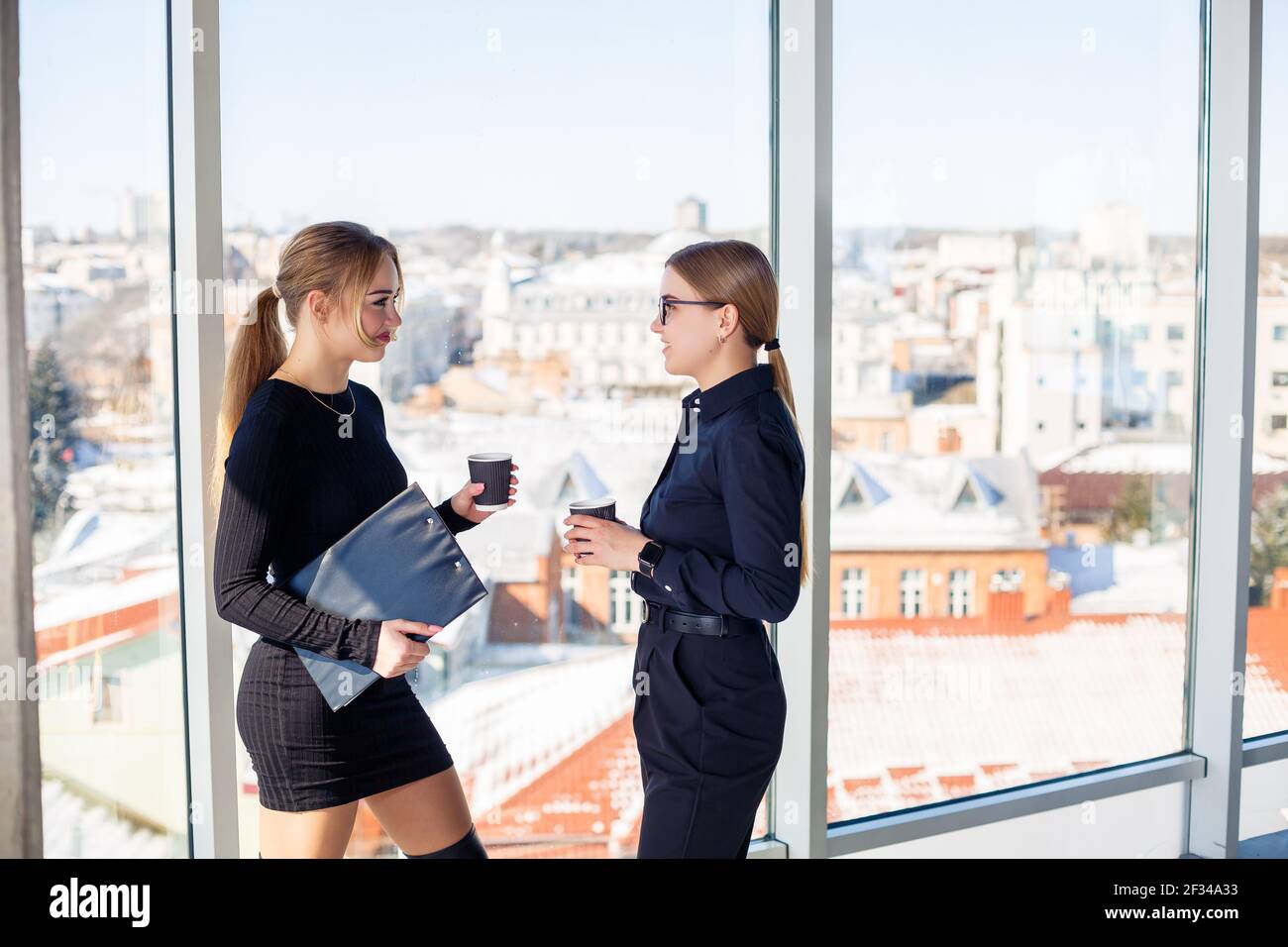 Two successful female managers talking about a joint project while ...
