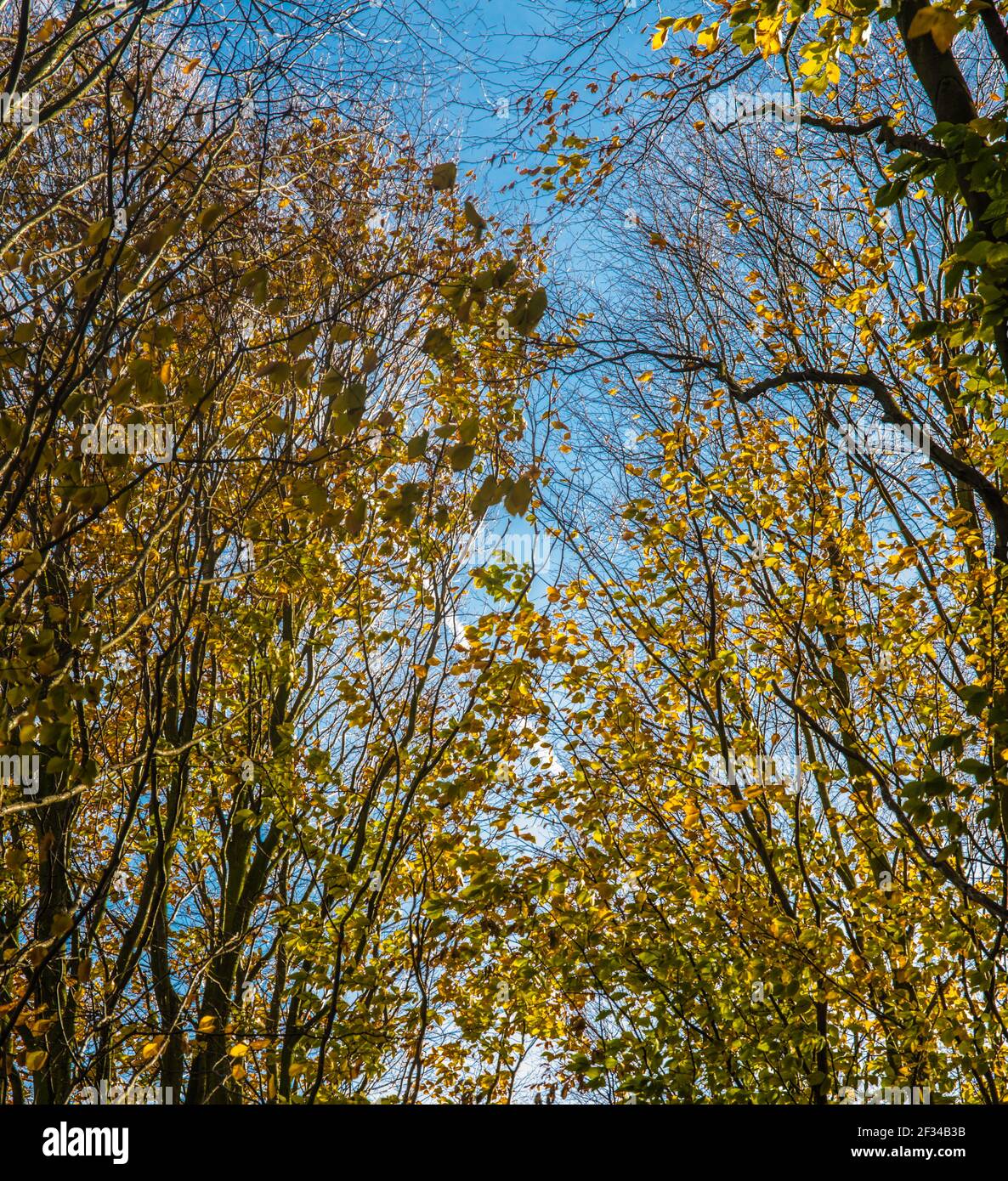 Broody Sky High Resolution Stock Photography and Images - Alamy