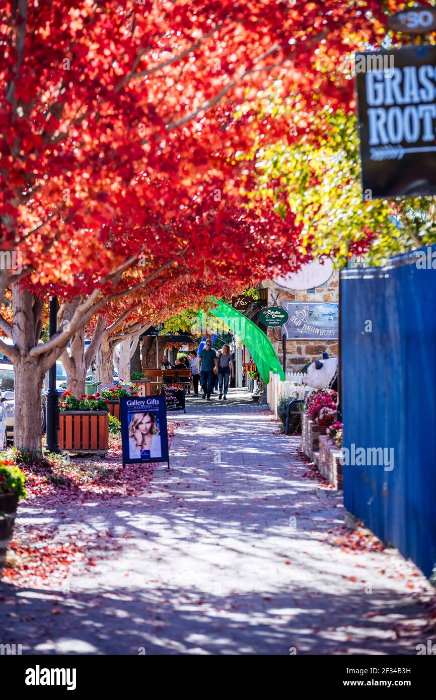 Adelaide, South Australia - 10 April 2019: The beautiful colours of the ...