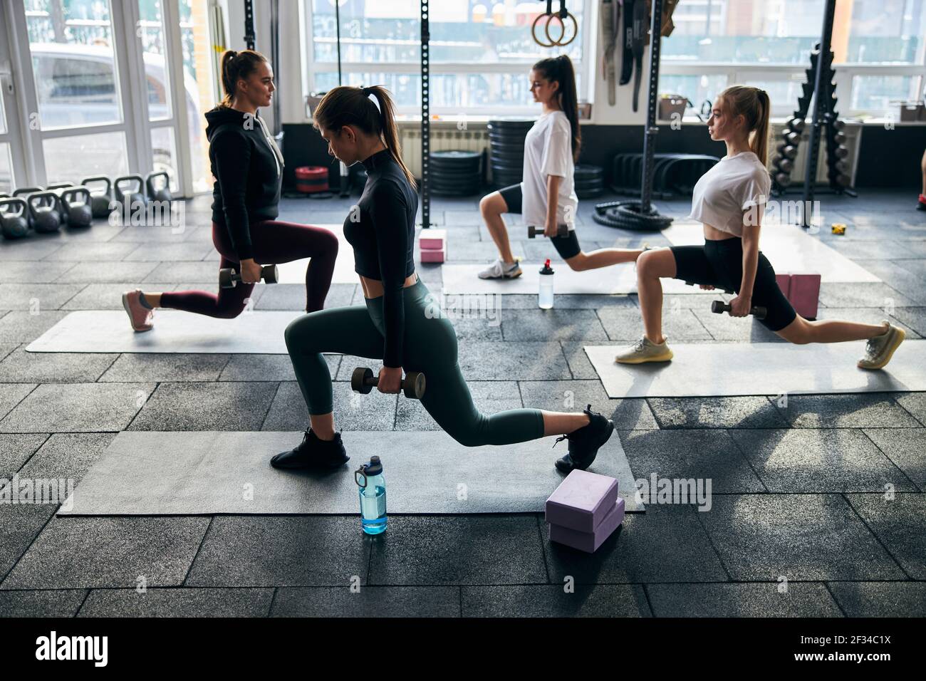 Hard-working young ladies keeping in shape at the gym Stock Photo - Alamy