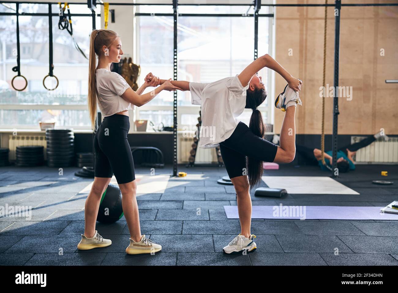 Two best friends doing partner exercises at gym Stock Photo - Alamy