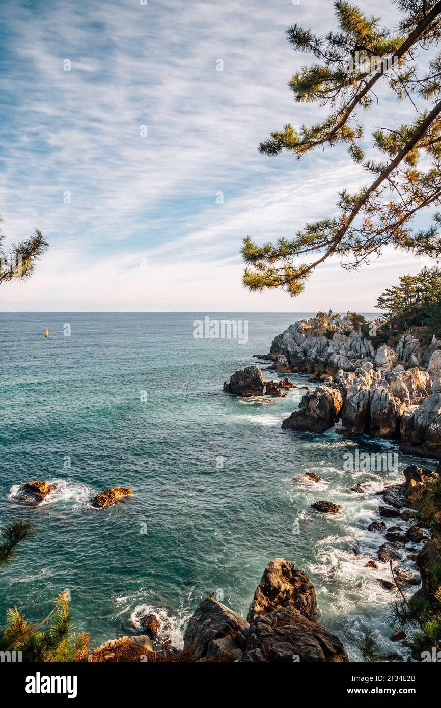 Panorama view of Chuam beach and rocks in Donghae, Korea Stock Photo ...