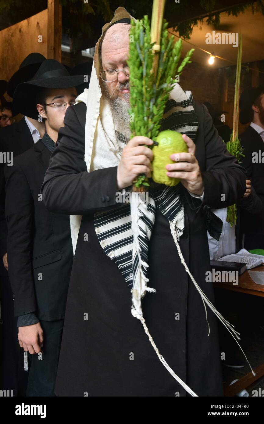 Chabad Rabbi Beryl Epstein blesses the 4 Sukkos species in a Sukkah in ...