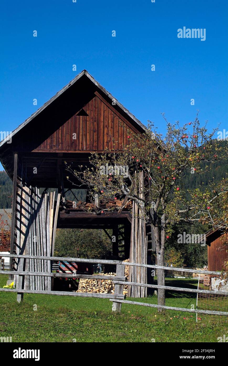 Austria, barn and apple tree in Carinthia Stock Photo - Alamy