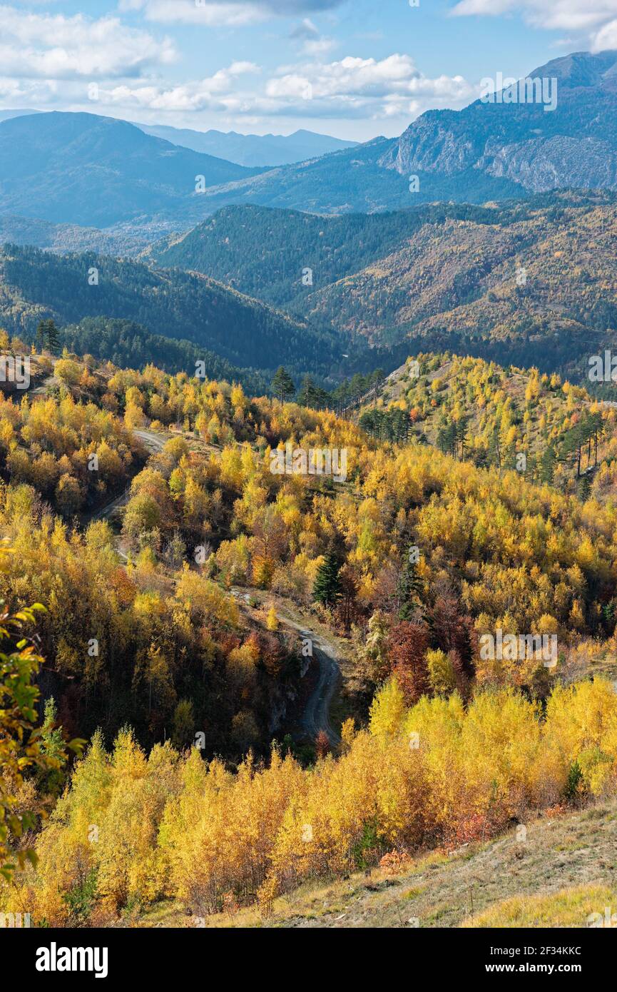 Landscape with autumn colorful foliage and winding road on Mount Gramos ...