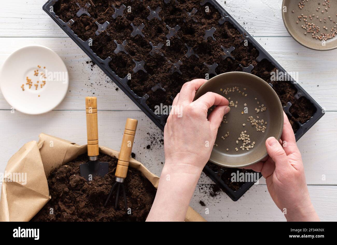 Special plastic mold for seedlings and a bag with ground on a white ...