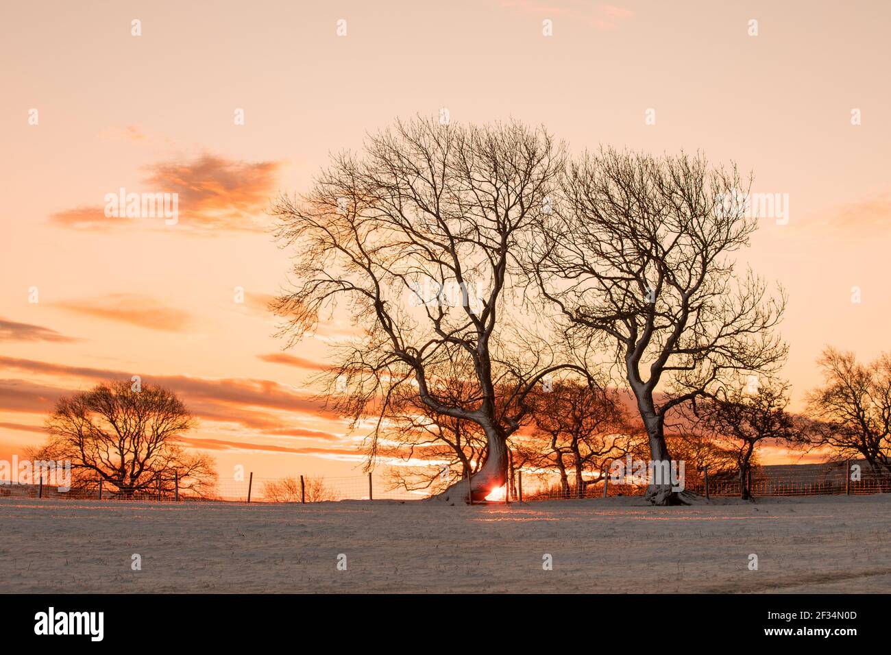 Beautiful snowy scene hi-res stock photography and images - Alamy