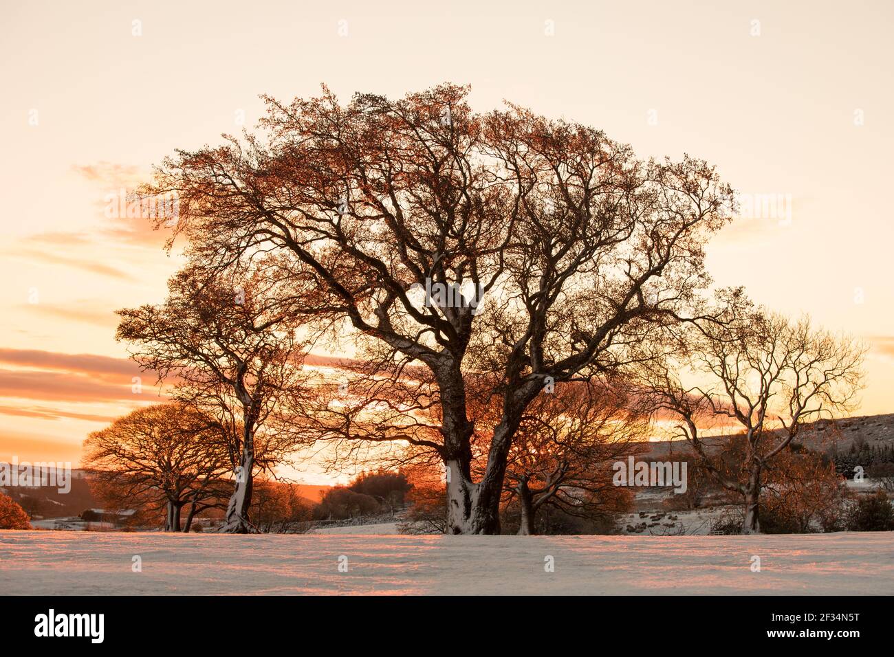 Snowy scene yorkshire hi-res stock photography and images - Alamy