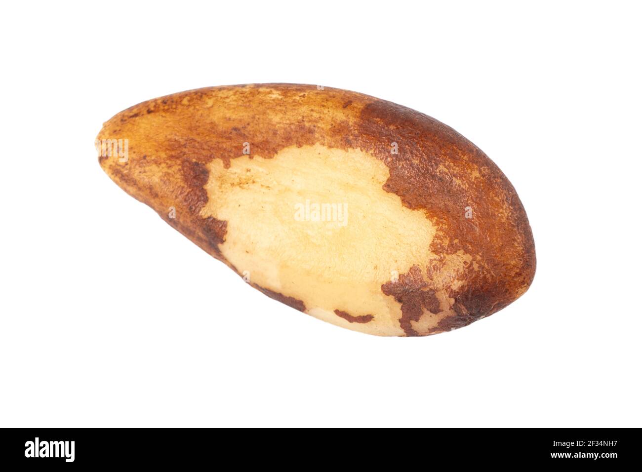 Brazilian nut isolated on white background. One brazil nut close up ...