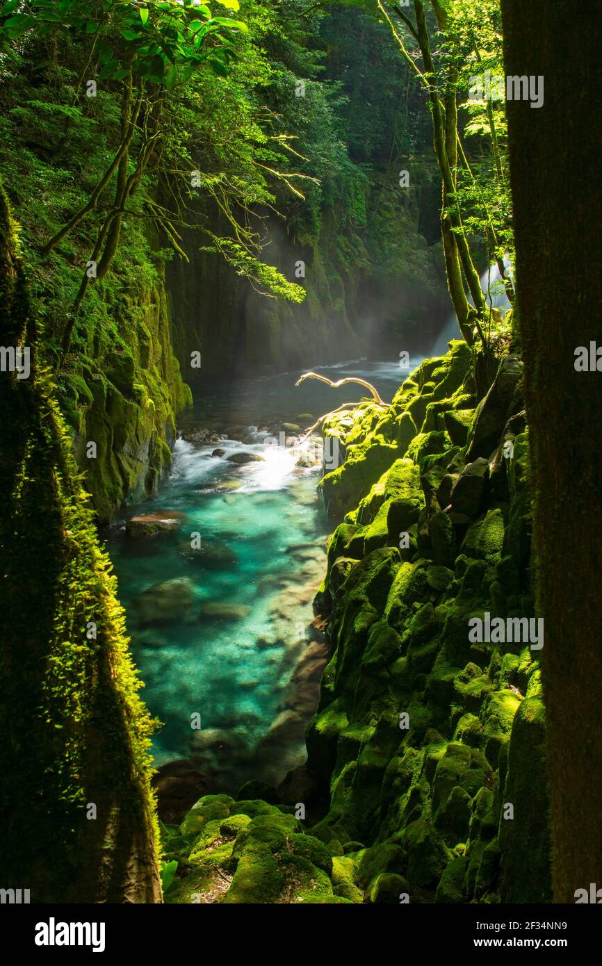Kikuchi Gorge in Summer, Kumamoto Prefecture, Japan Stock Photo - Alamy