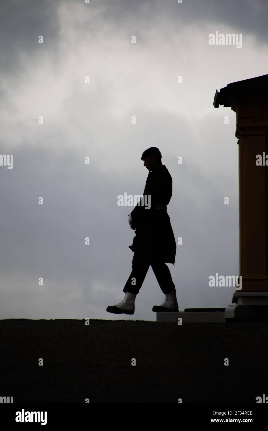 The Royal Guards (Swedish: Högvakten) is the King of Sweden's cavalry ...