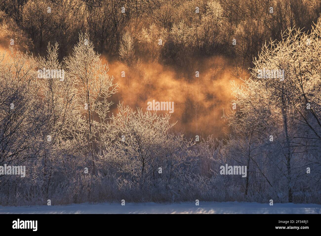 Freezing Fog in Steam Fog Stock Photo - Alamy