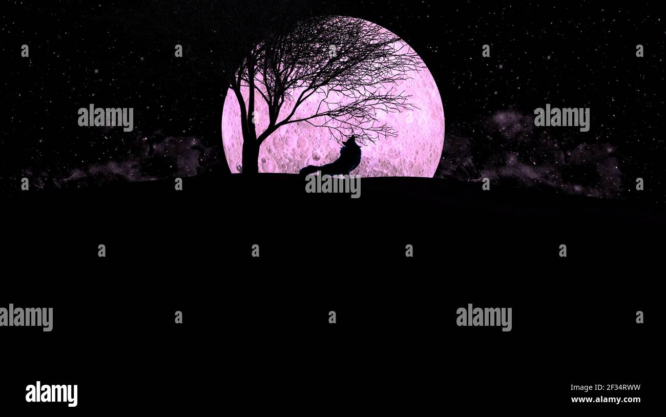 Wolf howling during full moon night, A howl can communicate things like ...