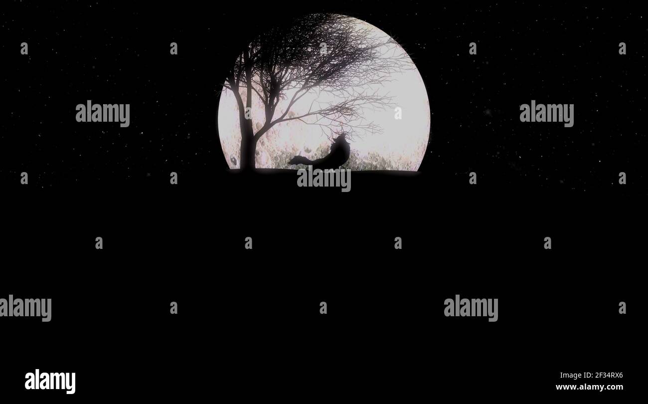 Wolf howling during full moon night, A howl can communicate things like ...