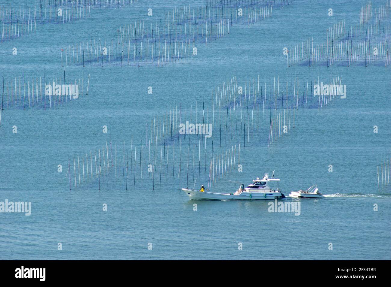 Fishing japan net hi-res stock photography and images - Alamy