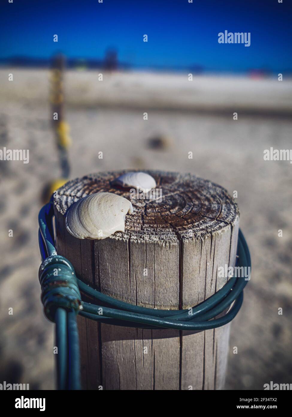 A vertical shot of wooden post tied with rope and shell on top Stock ...