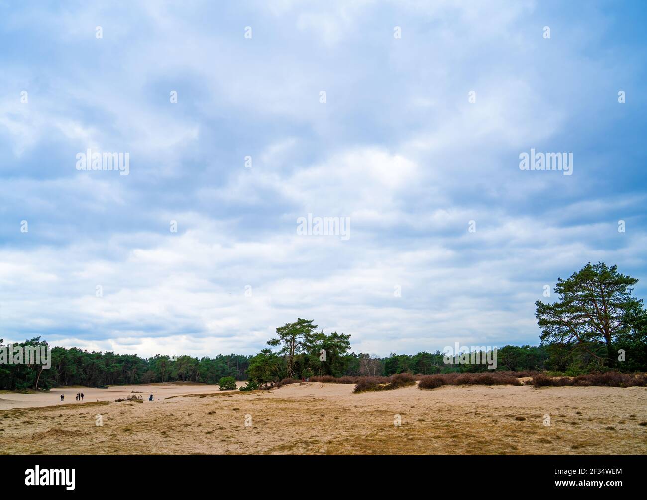 Landscape at Soesterduinen near Amersfoort, Netherlands Stock Photo - Alamy