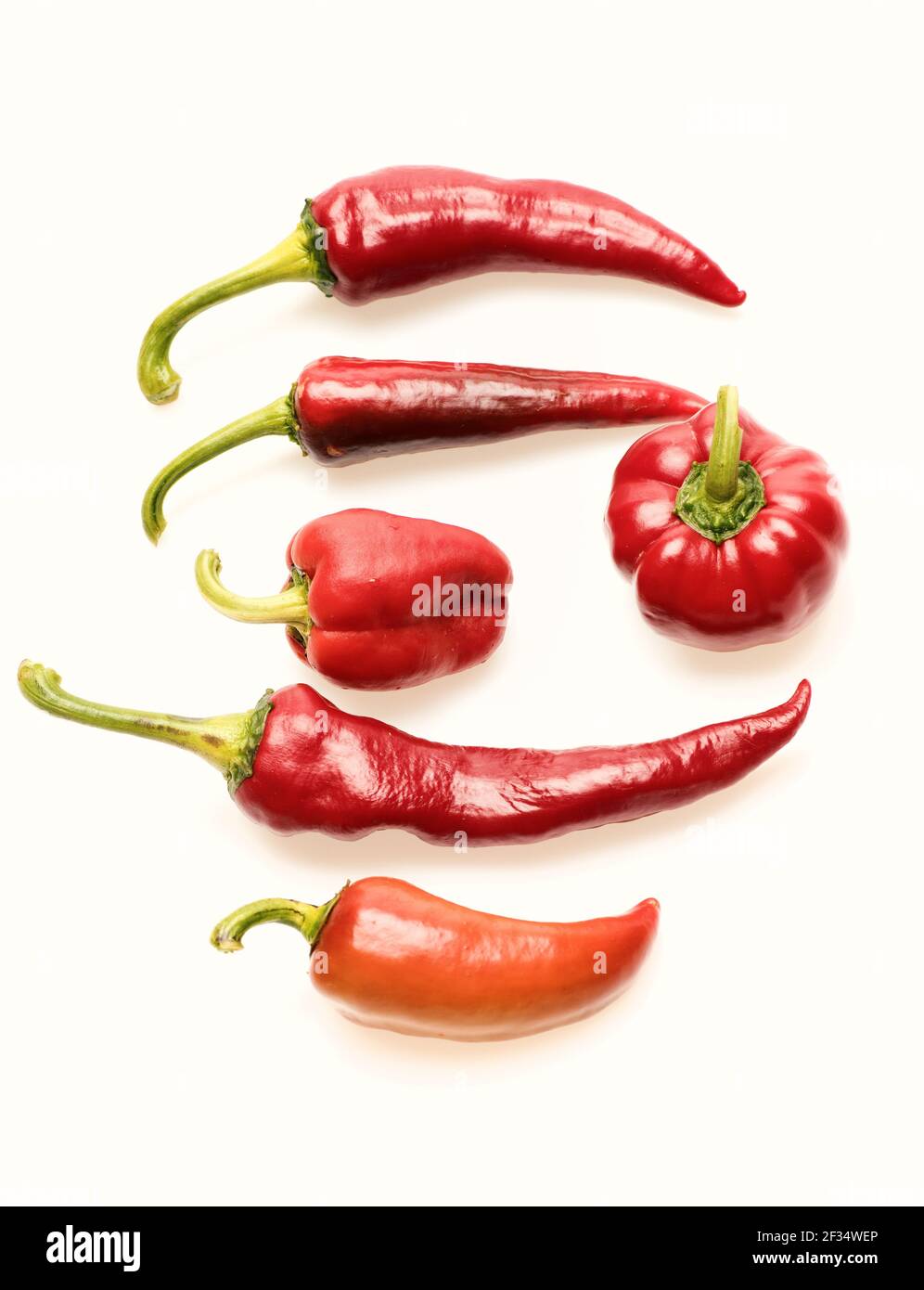 Chili peppers of red color isolated on white background Stock Photo - Alamy