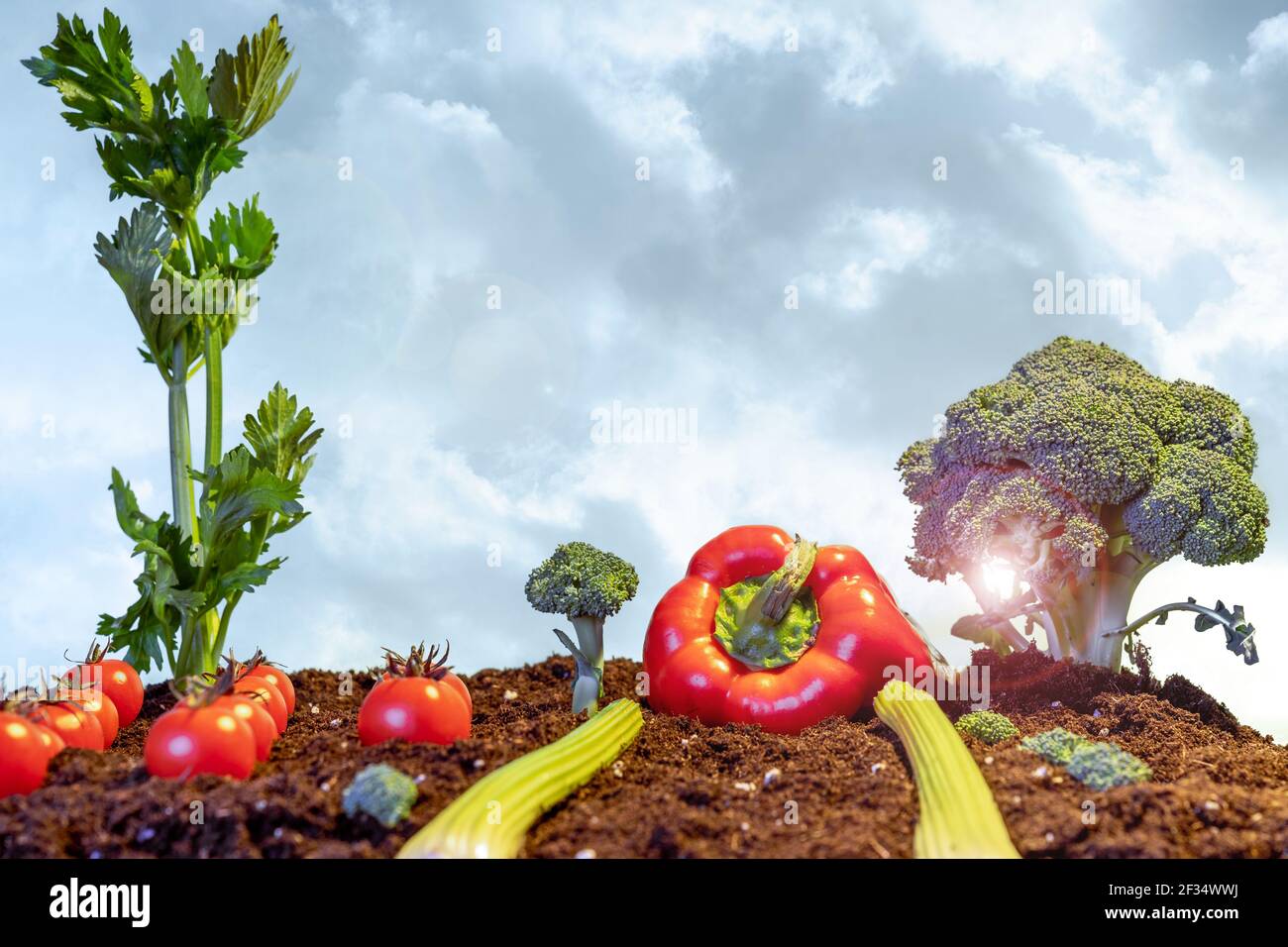 Dioramas Diorama High Resolution Stock Photography and Images - Alamy